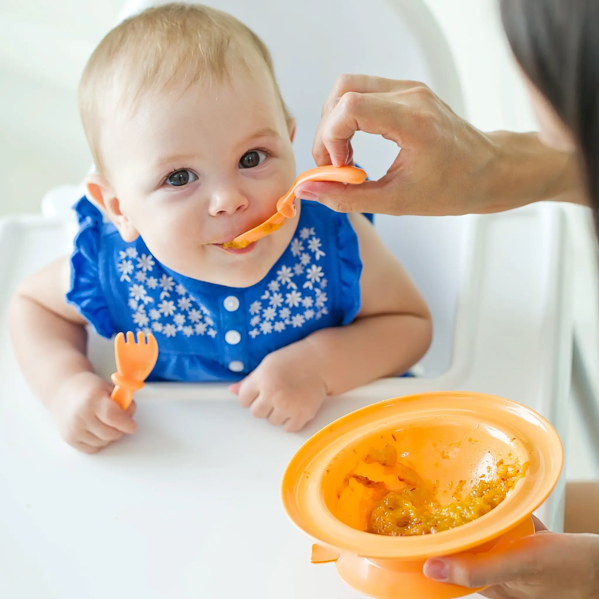 Guía de comidas saludables para bebés por etapas | Minenito